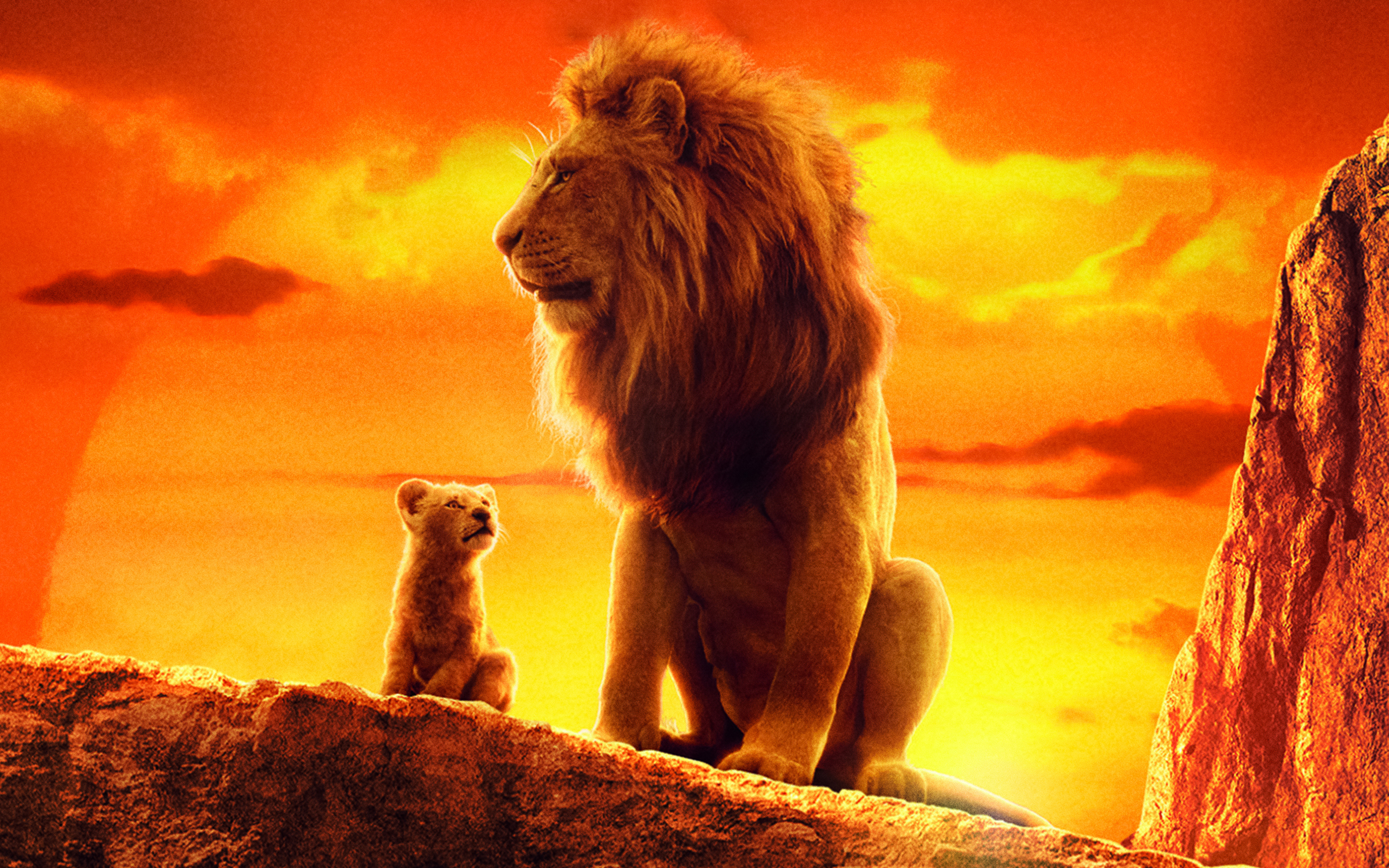 El Rey Leon Fondo De Pantalla 4K ID 3947 El Rey Leon Fondo De Pantalla 4K ID 3947