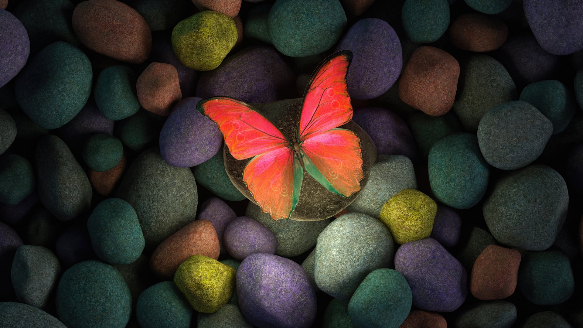 Mariposa en piedras de colores Fondo de pantalla 4k HD ID:6380