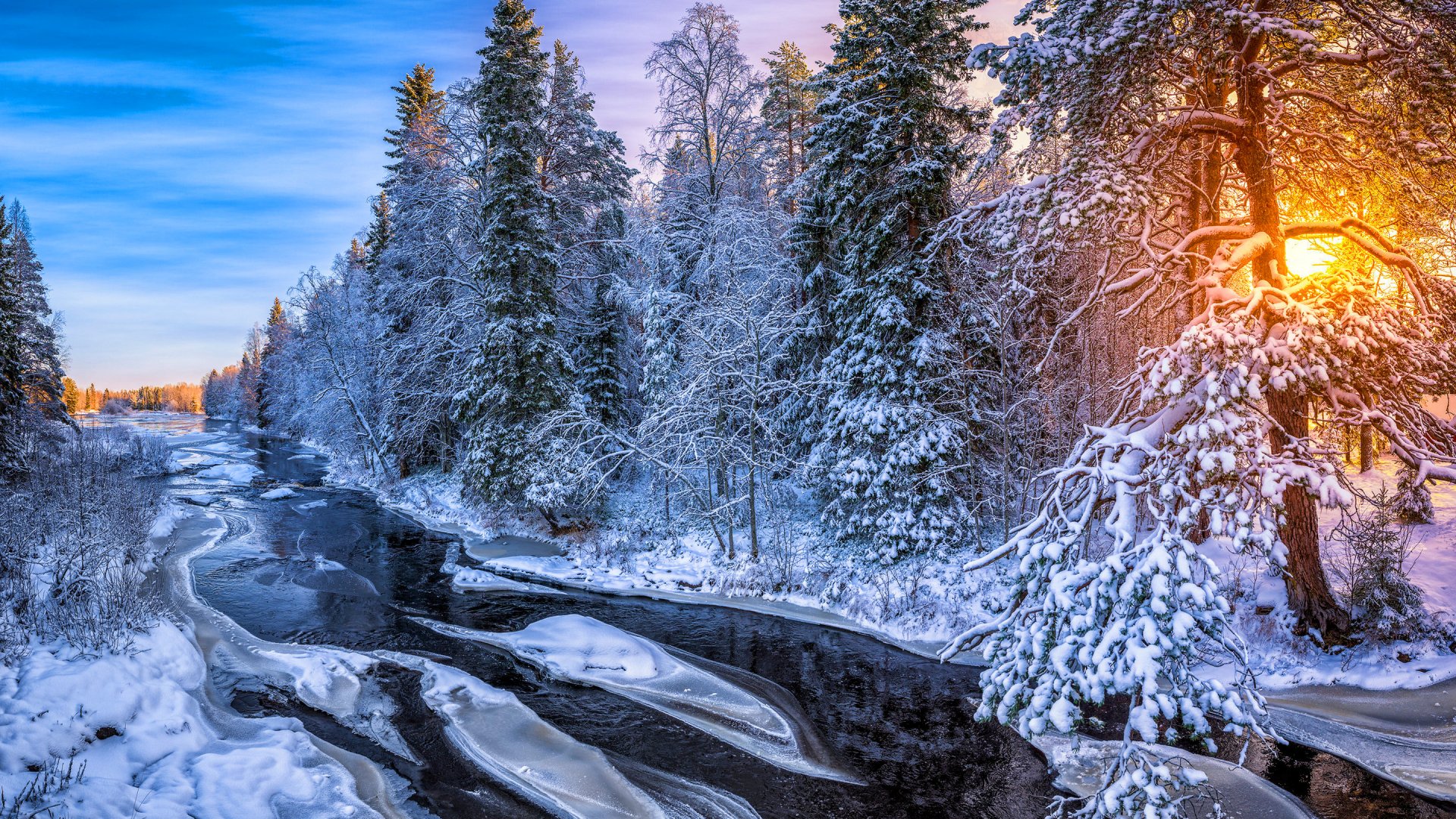 Amanecer en el bosque Finlandia Fondo de pantalla ID:6884