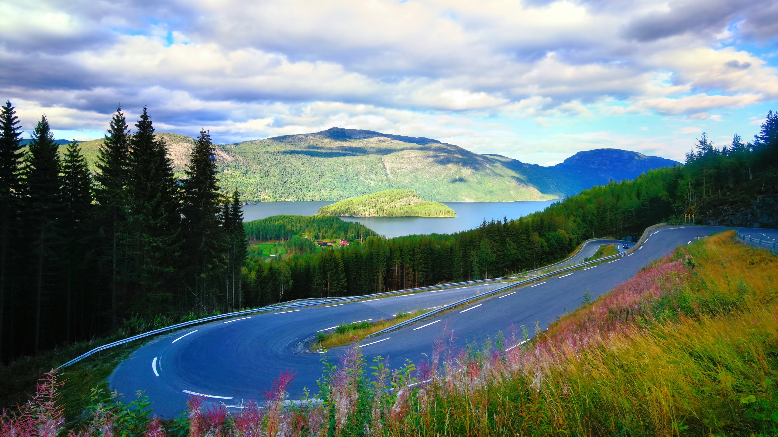 Bosque en la carretera Fondo de pantalla 8k HD ID:11078