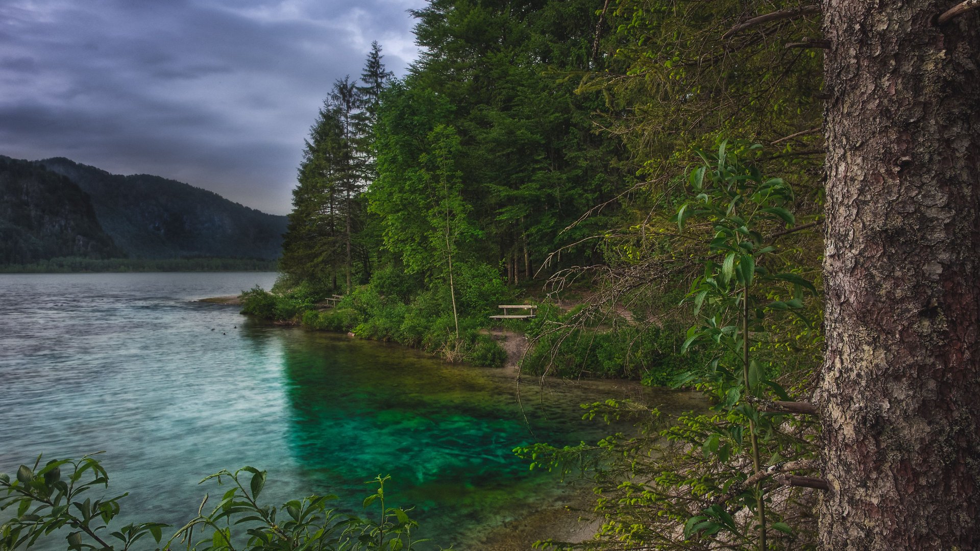 Bosque junto a lago azul Fondo de pantalla 4k HD ID:10223