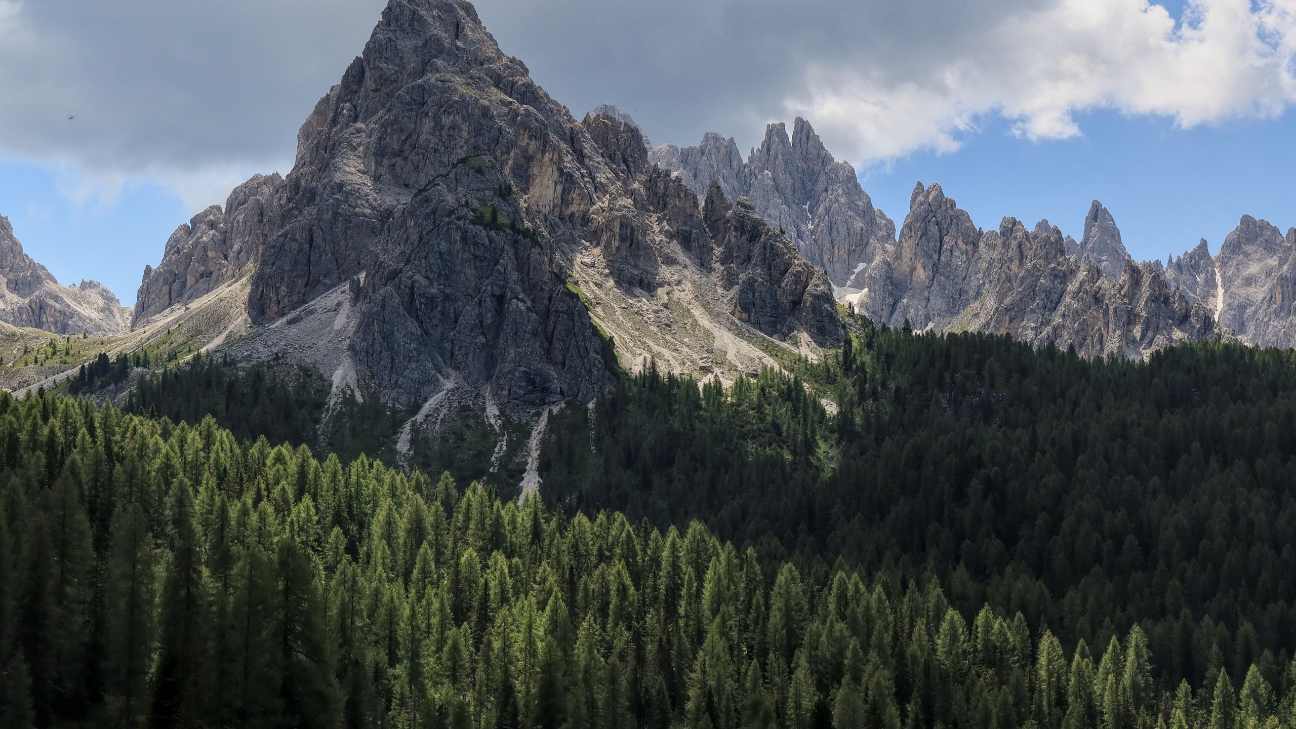Pine trees in the forest next to mountains Wallpaper 4k Ultra HD ID:10719