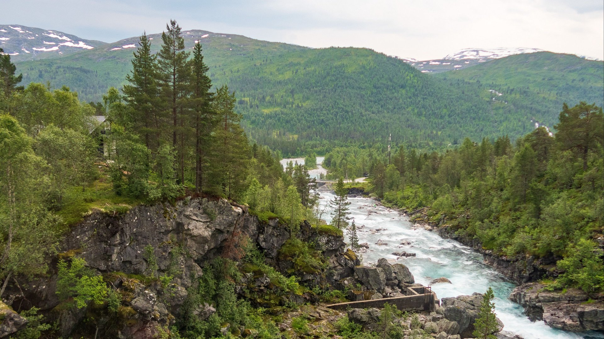 River crossing forest Wallpaper 4k HD ID:10622
