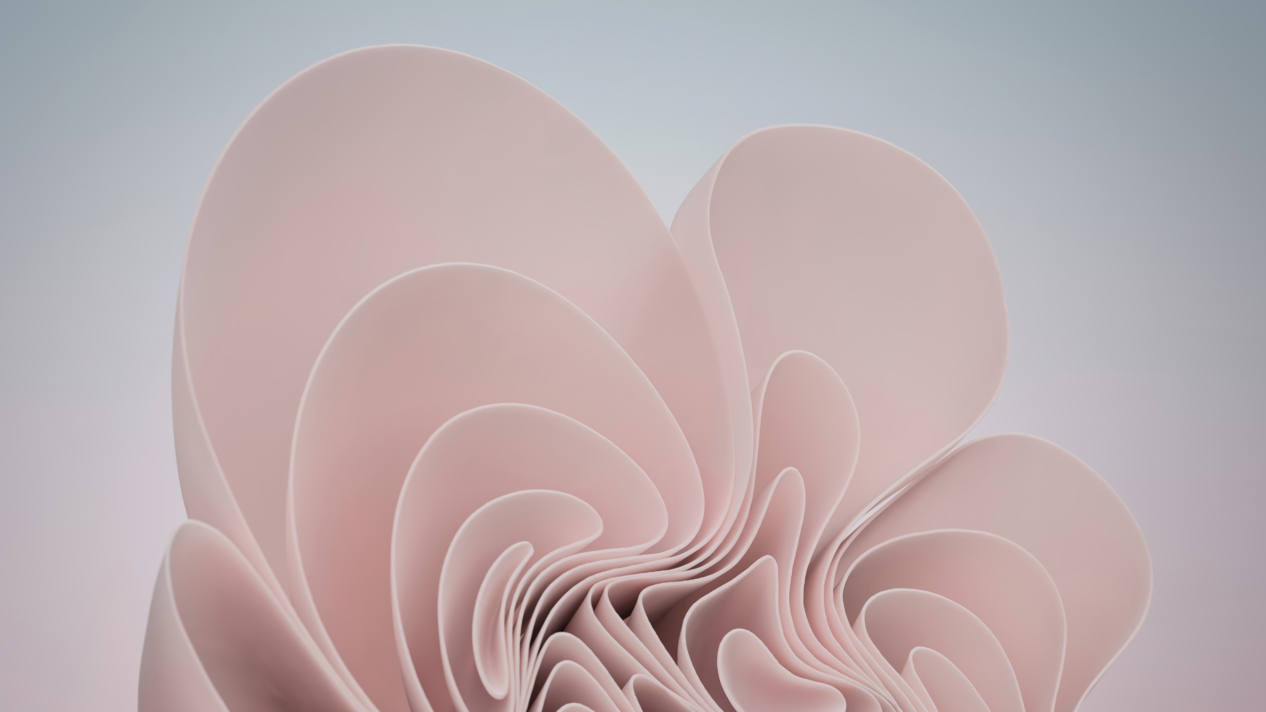 Windows 11 rosa Abstracto Fondo de pantalla 4k HD ID:12265